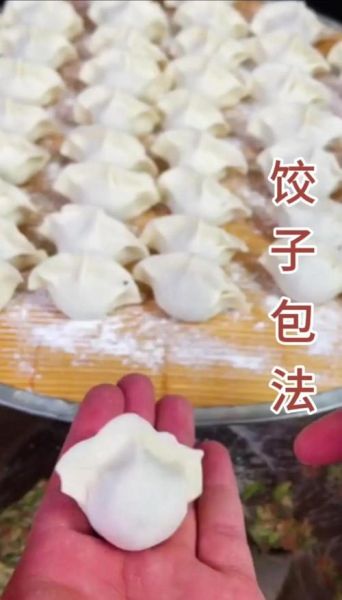 怎么包饺子不会露馅_正确包饺子手法图解-第2张图片-山城妙识