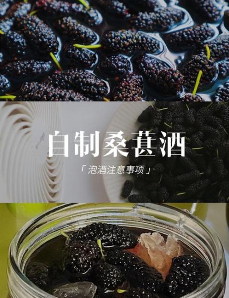 自制桑葚酒能放多久_桑葚酒保质期几年-第1张图片-山城妙识