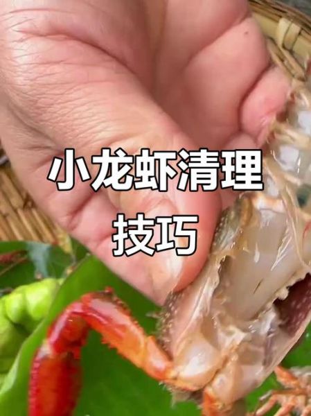 怎么清洗小龙虾又快又干净_小龙虾清洗技巧-第3张图片-山城妙识 怎么清洗小龙虾又快又干净_小龙虾清洗技巧-第3张图片-山城妙识
