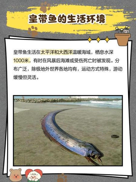 世界上最长的皇带鱼有多长_皇带鱼为什么被称为地震鱼-第1张图片-山城妙识