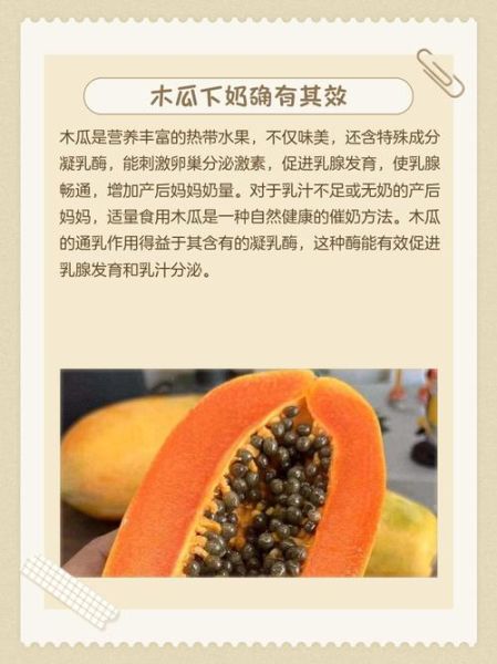 木瓜奶什么意思_木瓜奶丰胸是真的吗-第1张图片-山城妙识