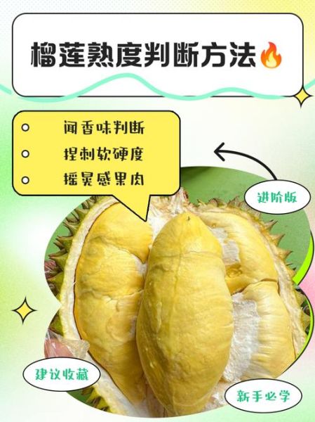 榴莲蜜怎么看熟不熟_榴莲蜜成熟判断方法-第1张图片-山城妙识