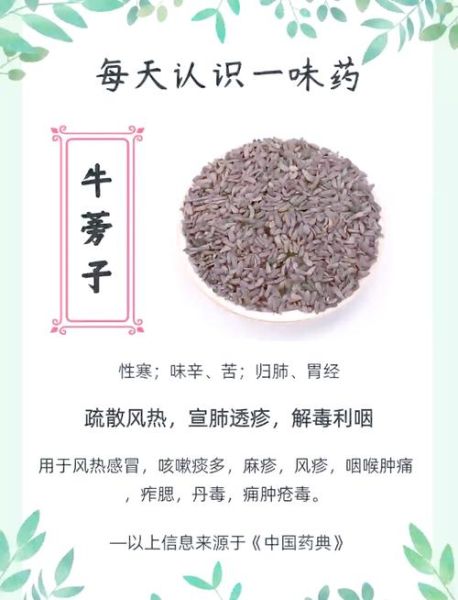 新鲜牛蒡怎么吃_牛蒡的家常做法大全-第1张图片-山城妙识
