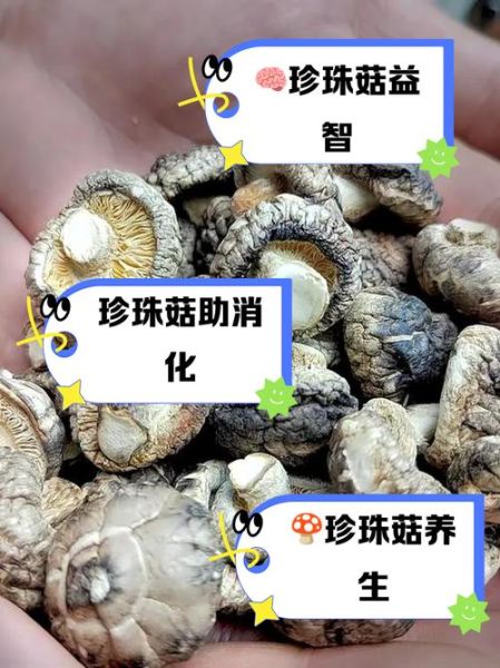 珍珠菇的功效与作用_珍珠菇的禁忌人群有哪些-第2张图片-山城妙识