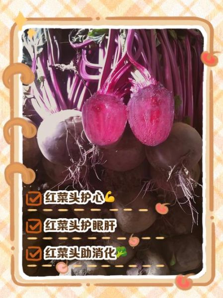 红甜菜头怎么吃_红甜菜头有什么功效-第3张图片-山城妙识