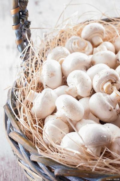 白玉菇产地在哪里_白玉菇哪里的最好吃-第3张图片-山城妙识