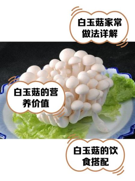 白玉菇产地在哪里_白玉菇哪里的最好吃-第1张图片-山城妙识