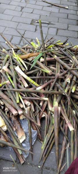 腌制竹笋怎么做好吃_竹笋腌制配方大全-第1张图片-山城妙识 腌制竹笋怎么做好吃_竹笋腌制配方大全-第1张图片-山城妙识