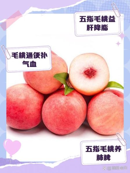 毛桃的营养价值_毛桃的功效与作用-第2张图片-山城妙识