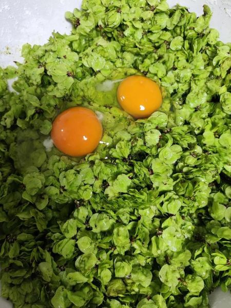 忆苦思甜饭是哪几种饭_怎么做才地道-第3张图片-山城妙识