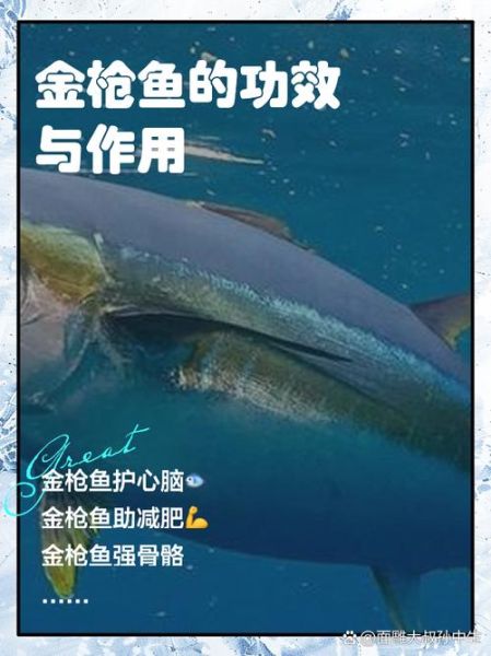 金枪鱼怎么做好吃_金枪鱼的营养价值有哪些-第1张图片-山城妙识