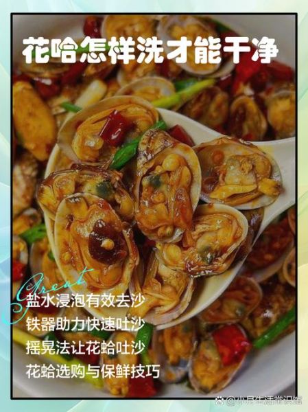 花蛤内脏怎么清洗_花蛤内脏清洗方法-第1张图片-山城妙识