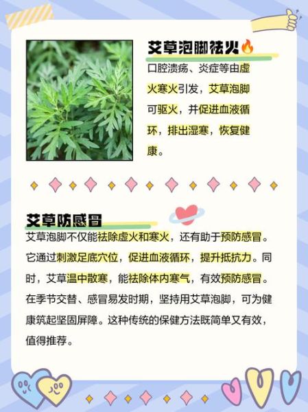 艾叶泡脚有什么好处_艾叶的功效与作用-第3张图片-山城妙识