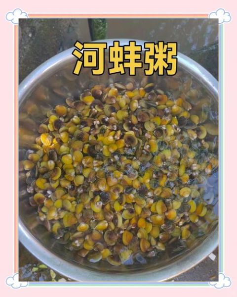 河蚌怎么处理干净_河蚌前期处理图解-第1张图片-山城妙识