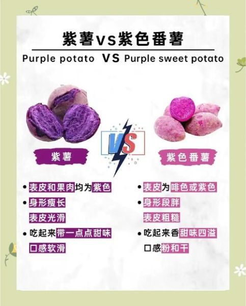 吃紫薯有什么好处_紫薯的功效与作用-第1张图片-山城妙识