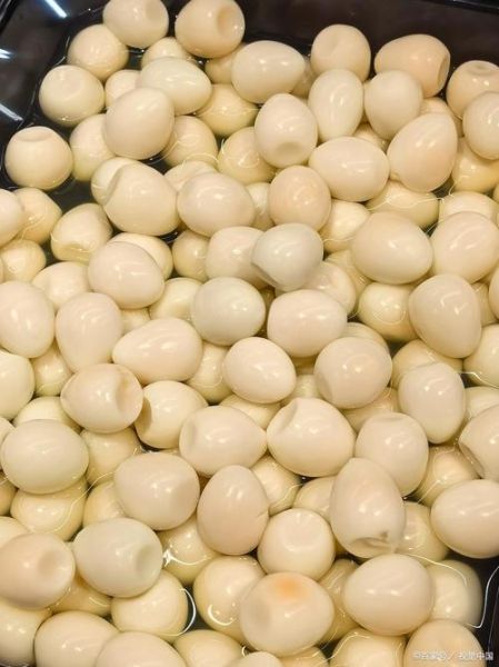 煮鹌鹑蛋怎么不破_鹌鹑蛋煮多久才熟-第2张图片-山城妙识