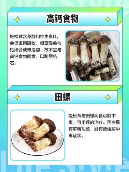 姬松茸为什么不能煲汤_姬松茸煲汤的误区-第3张图片-山城妙识 姬松茸为什么不能煲汤_姬松茸煲汤的误区-第3张图片-山城妙识