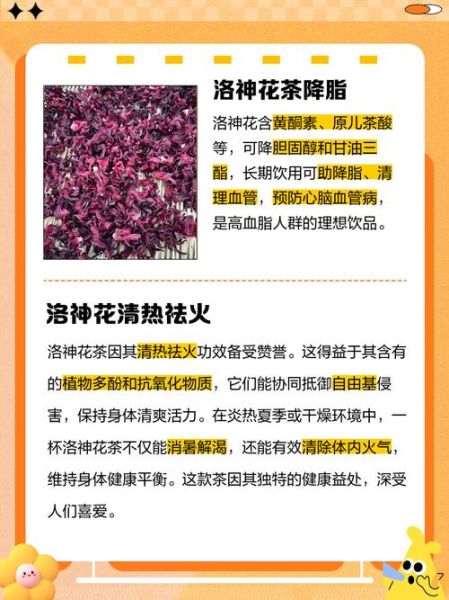 洛神花茶怎么泡_洛神花茶的功效与作用-第3张图片-山城妙识