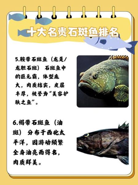 男人吃石斑鱼有什么好处_石斑鱼对男人性功能有帮助吗-第1张图片-山城妙识