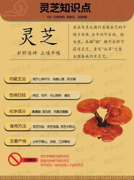 灵芝的功效与作用吃法_灵芝怎么吃效果最好-第3张图片-山城妙识