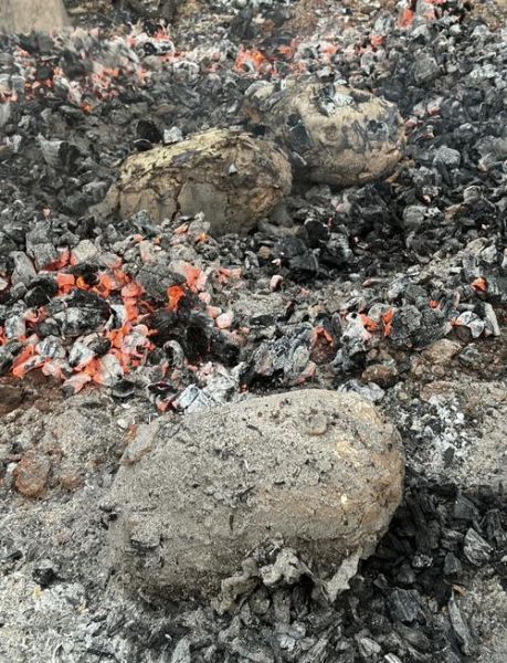 叫化鸡怎么做_正宗叫化鸡做法视频-第2张图片-山城妙识