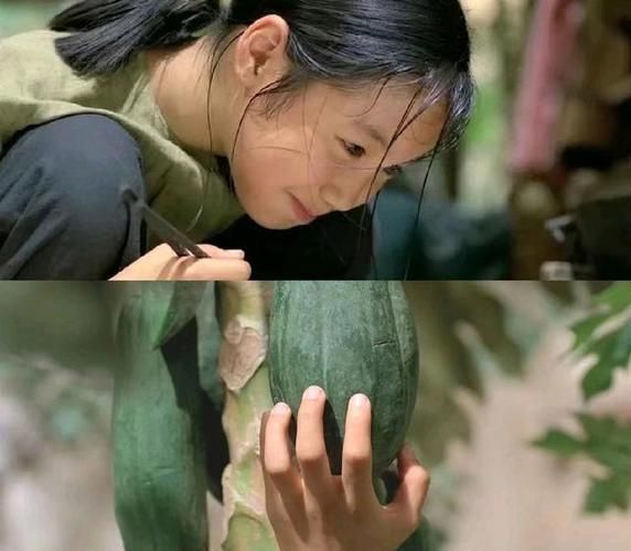 木瓜电影网是什么_木瓜电影网安全吗-第1张图片-山城妙识