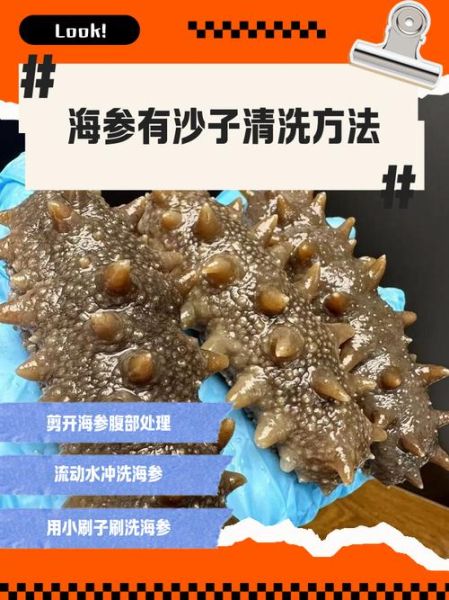 新鲜海参怎么处理_海参怎么清洗去内脏-第3张图片-山城妙识