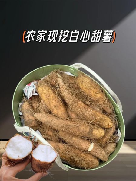 甜薯怎么蒸才甜_甜薯蒸多久才软糯-第1张图片-山城妙识