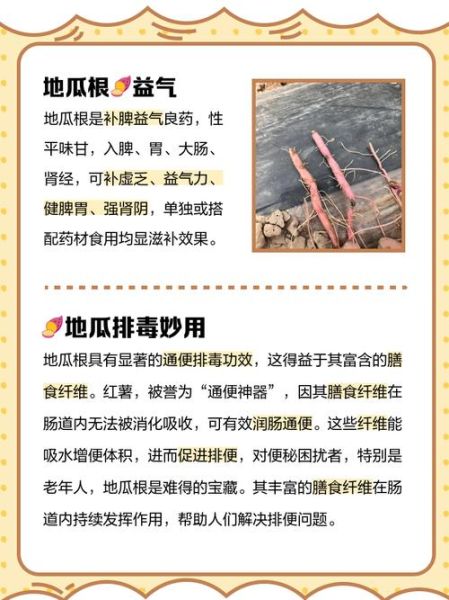 土瓜根的功效与作用_土瓜根可以天天喝吗-第1张图片-山城妙识