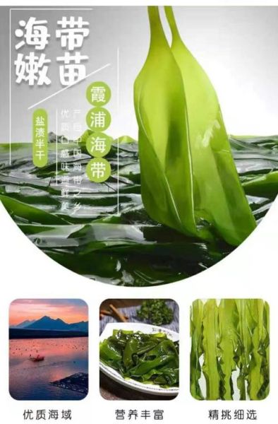 海带有什么营养成分_海带营养价值高吗-第2张图片-山城妙识