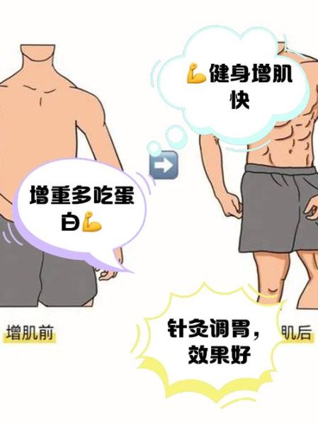 男人长胖最有效的方法_如何快速增重-第1张图片-山城妙识
