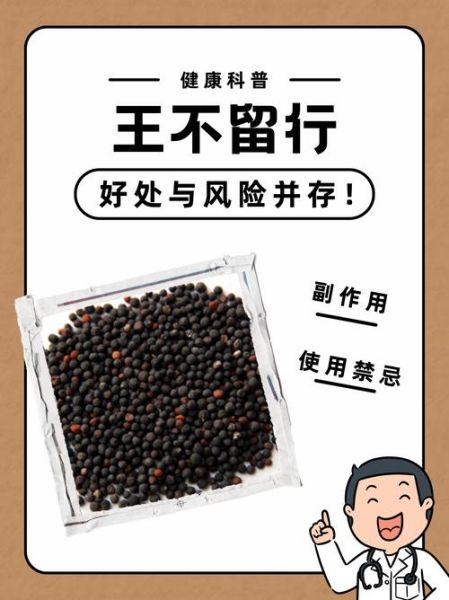 王不留行的功效与作用_王不留行怎么吃-第3张图片-山城妙识