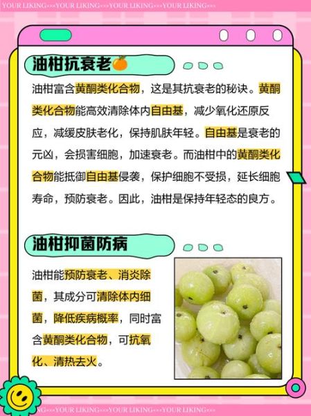 油柑子的功效与作用_油柑子怎么吃效果最好-第1张图片-山城妙识