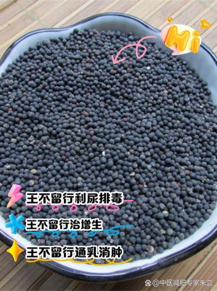 王不留行的功效与作用_王不留行怎么吃-第2张图片-山城妙识