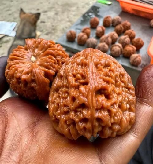 官帽核桃怎么盘_官帽核桃价格多少钱-第3张图片-山城妙识