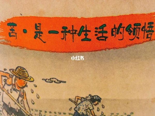 翻滚吧蛋炒饭歌词含义_蛋炒饭歌曲背后故事-第1张图片-山城妙识