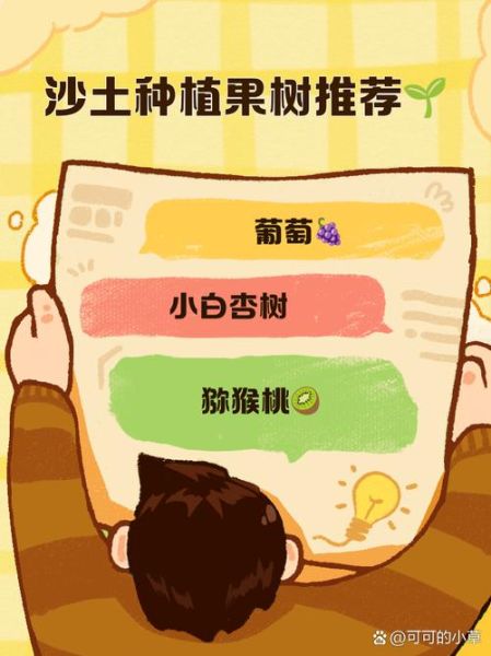 水果沙拉树是什么_怎么在家种-第2张图片-山城妙识 水果沙拉树是什么_怎么在家种-第2张图片-山城妙识