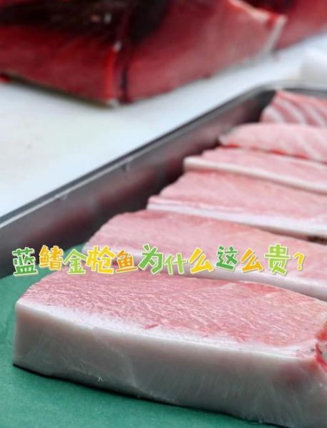 蓝鳍金枪鱼2000万人民_为什么这么贵-第2张图片-山城妙识