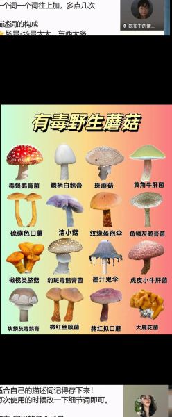 哪些蘑菇可以经常吃_如何挑选安全可食用的20种蘑菇-第2张图片-山城妙识