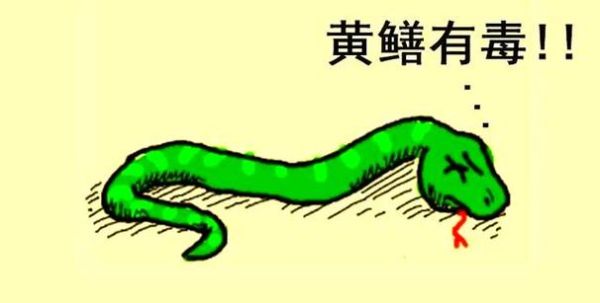 蛇为什么怕黄鳝_黄鳝对蛇的威胁有多大-第3张图片-山城妙识