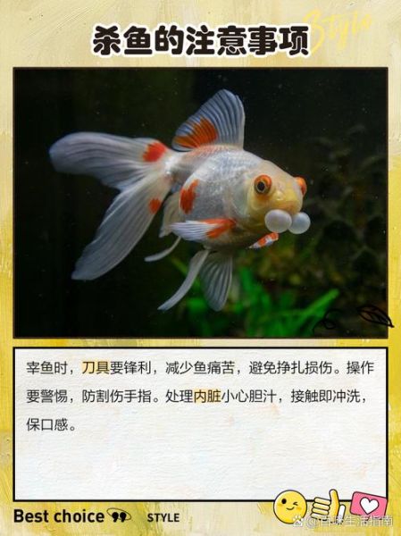 多宝鱼怎么处理干净_多宝鱼宰杀视频教程-第3张图片-山城妙识