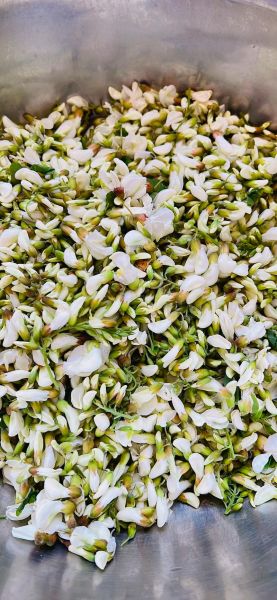 干槐花哪里有卖_干槐花价格多少钱一斤-第2张图片-山城妙识