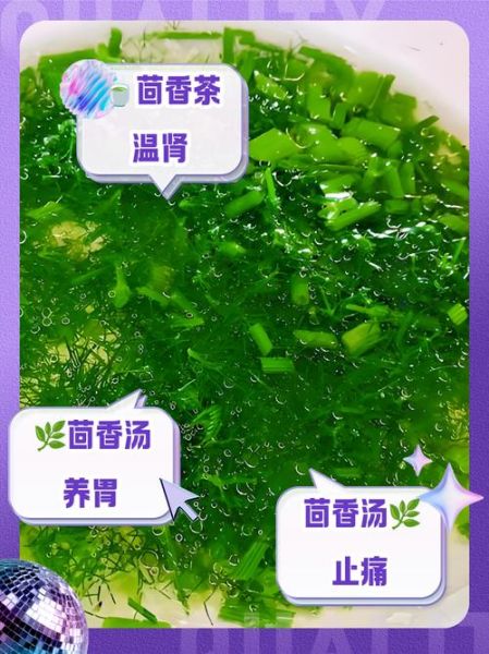 男人为什么不能吃茴香_茴香对男性健康的影响-第3张图片-山城妙识