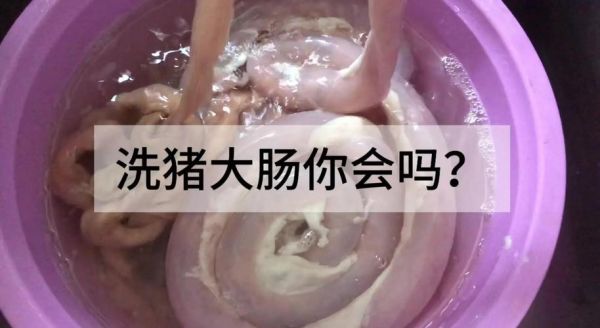 猪大肠怎么洗才干净_猪大肠怎么洗才白-第1张图片-山城妙识