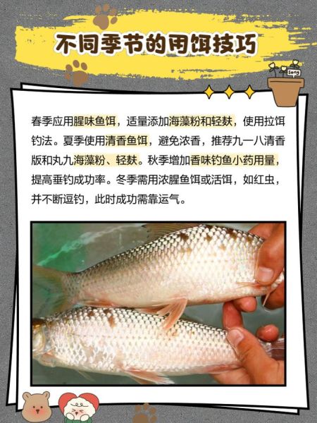 土鲮鱼图片_土鲮鱼怎么分辨真假-第2张图片-山城妙识