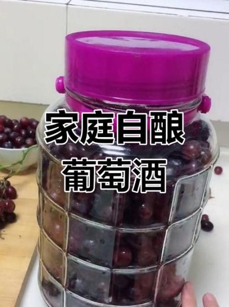 家庭自制葡萄酒的简单做法_如何消毒容器-第3张图片-山城妙识
