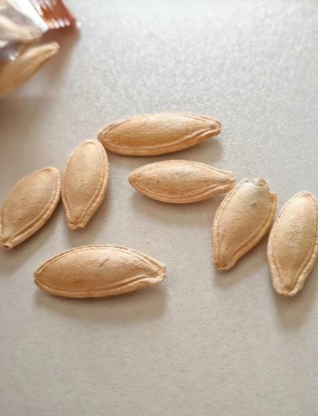 南瓜子的功效与作用害处_吃多了有什么副作用-第3张图片-山城妙识