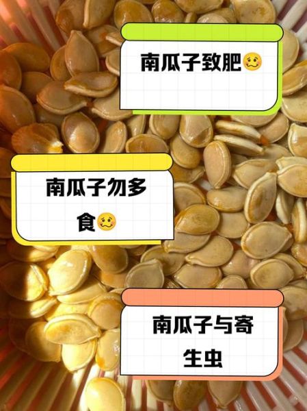 南瓜子的功效与作用害处_吃多了有什么副作用-第2张图片-山城妙识