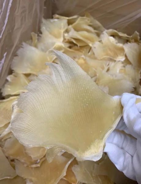 鳐鱼翅怎么做好吃_鳐鱼翅的家常做法-第1张图片-山城妙识