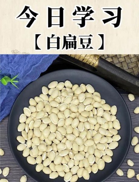 白扁豆产地哪里最好_白扁豆主产区有哪些-第3张图片-山城妙识